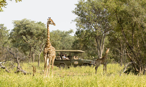 ULTIMATE SOUTH AFRICAN SAFARI | Travel with a Cause