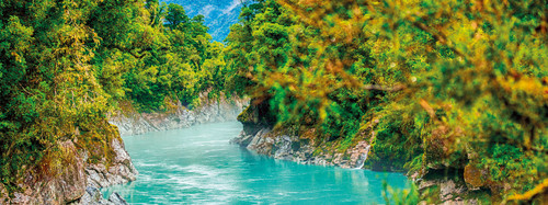 New Zealand Southern Spotlight | Travel with a Cause