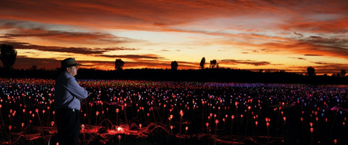 ULURU SUNRISE & FIELD OF LIGHT | Travel with a Cause