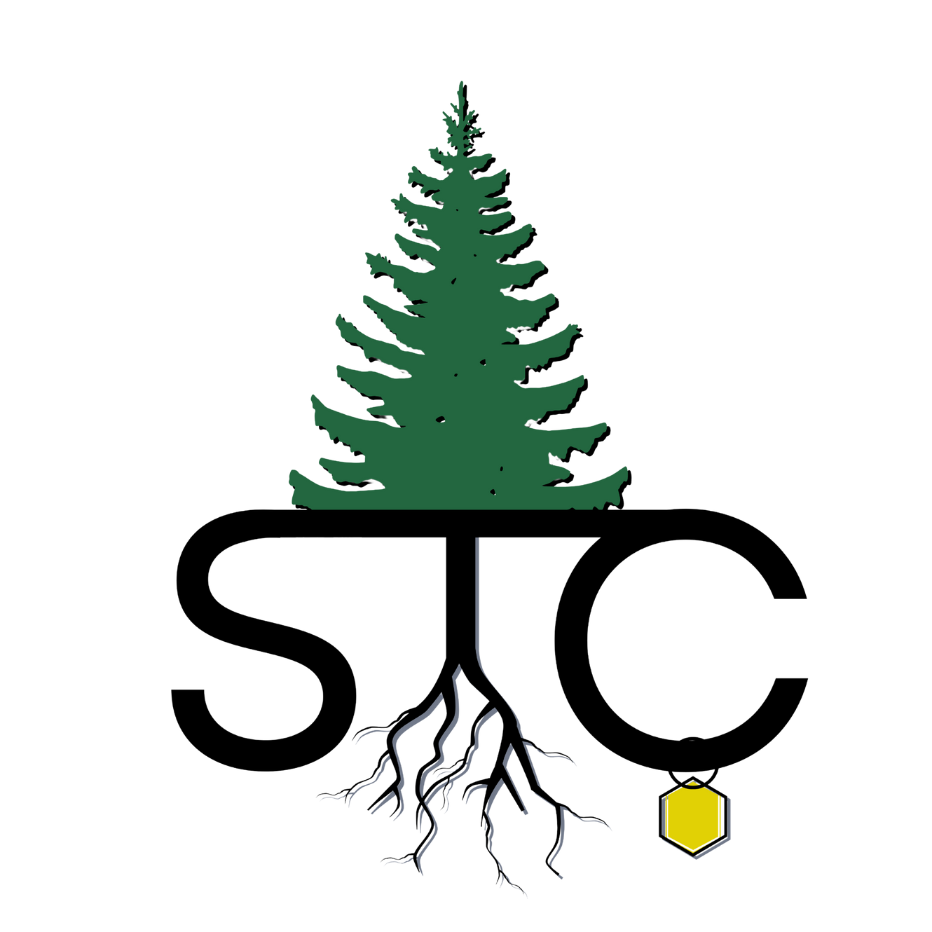 PRICE LIST ShadyTreeCanines Inc price-list-shadytreecanines-inc