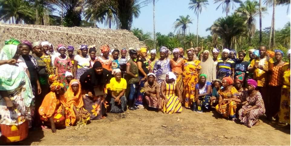 Voinjama Update Report