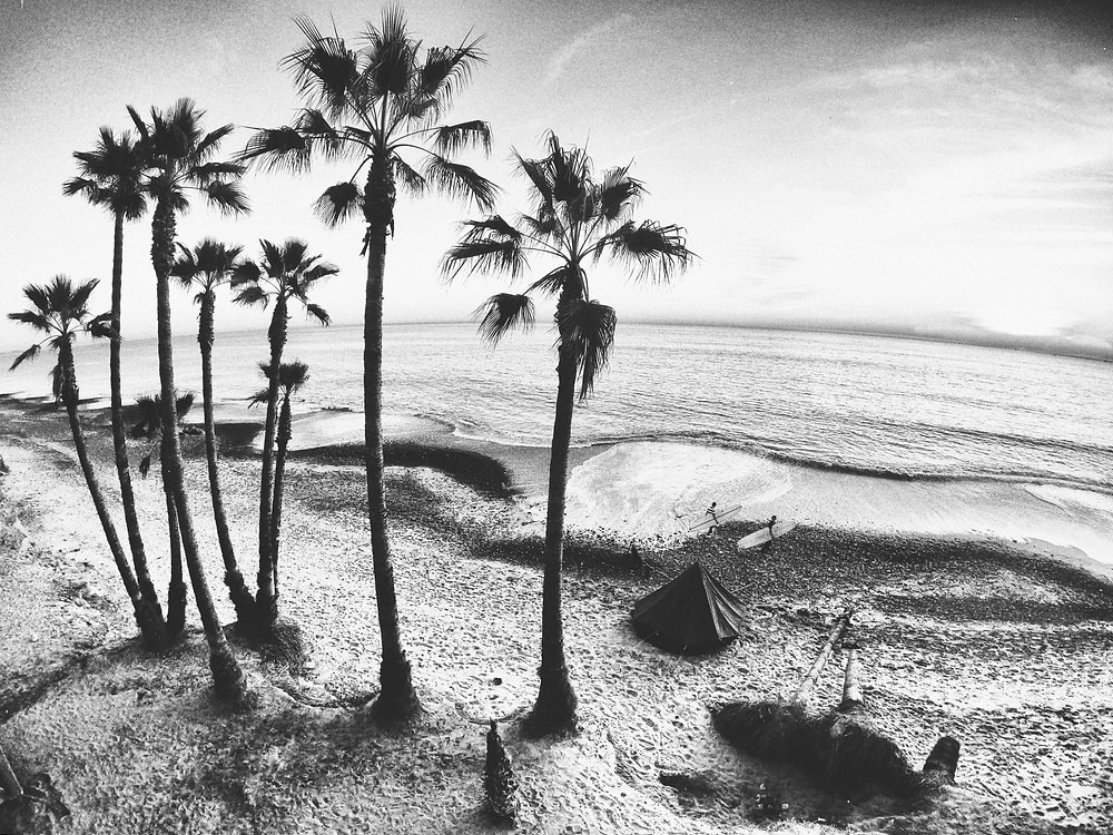 BEACHED DAYS beached-days