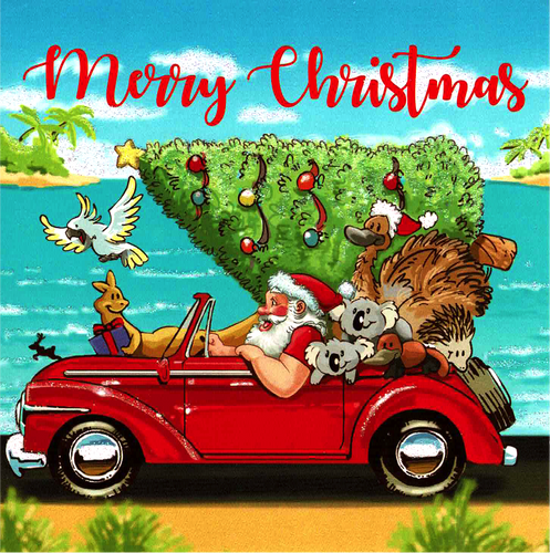 Australian Santa Christmas Card | Accessible Prints