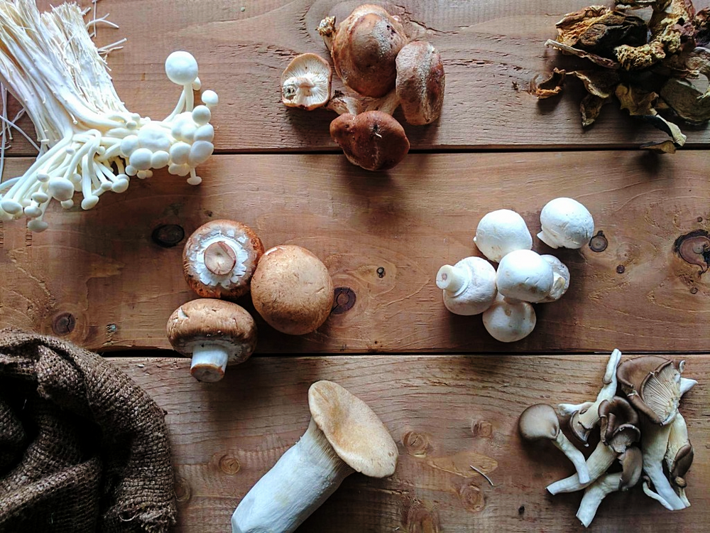 Mushroom 101: The Ultimate Guide on How to Select, Store, Clean & Cook