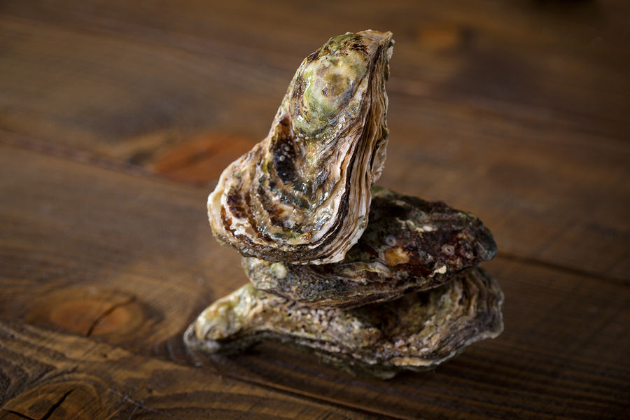 Oysters 101: Your Ultimate Guide on How to Select, Store, Clean and Sh