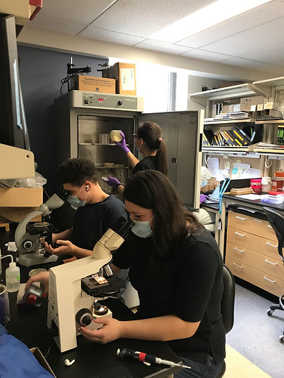 Research | arndtlab.com