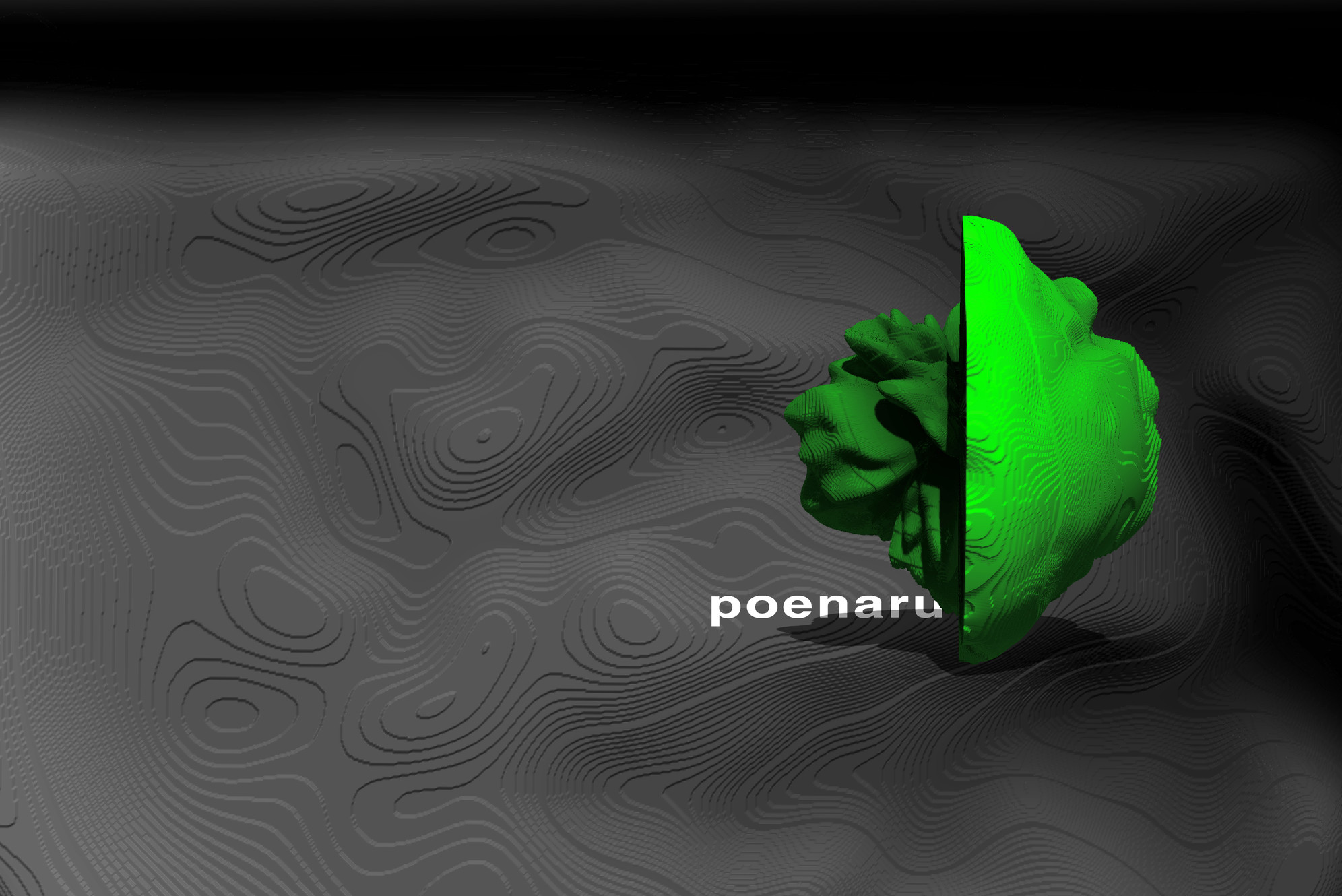 Publications | Poenaru