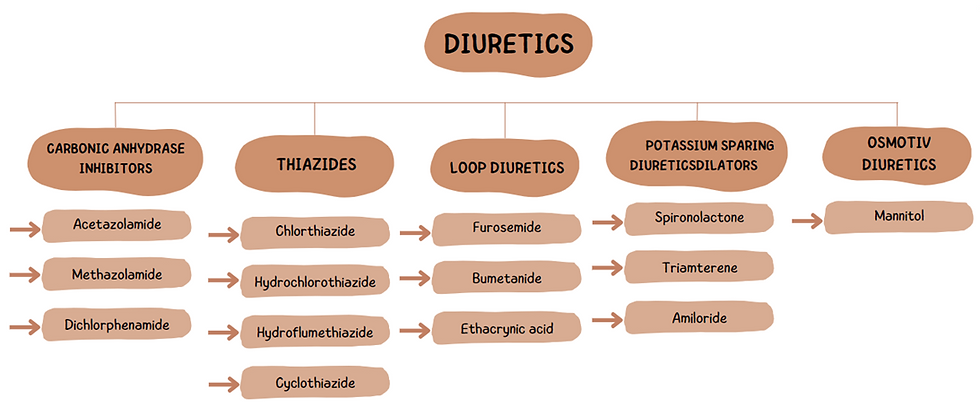 Diuretics: Overview and Classification | Firsthope