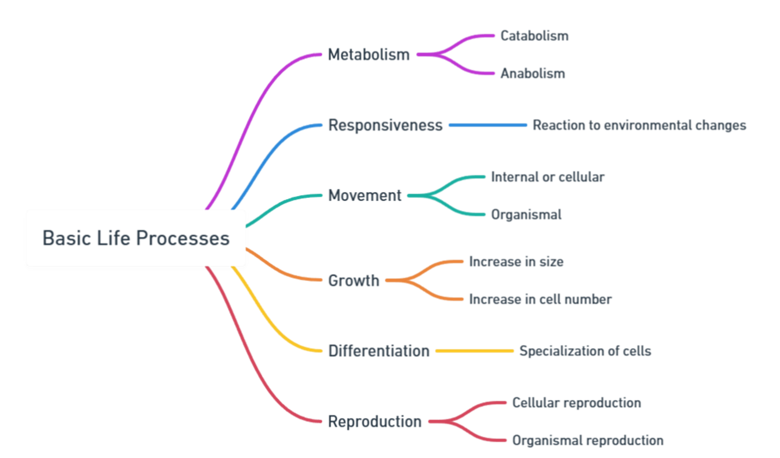 Basic life processes