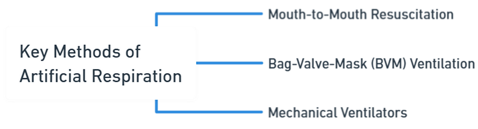 Artificial Respiration
