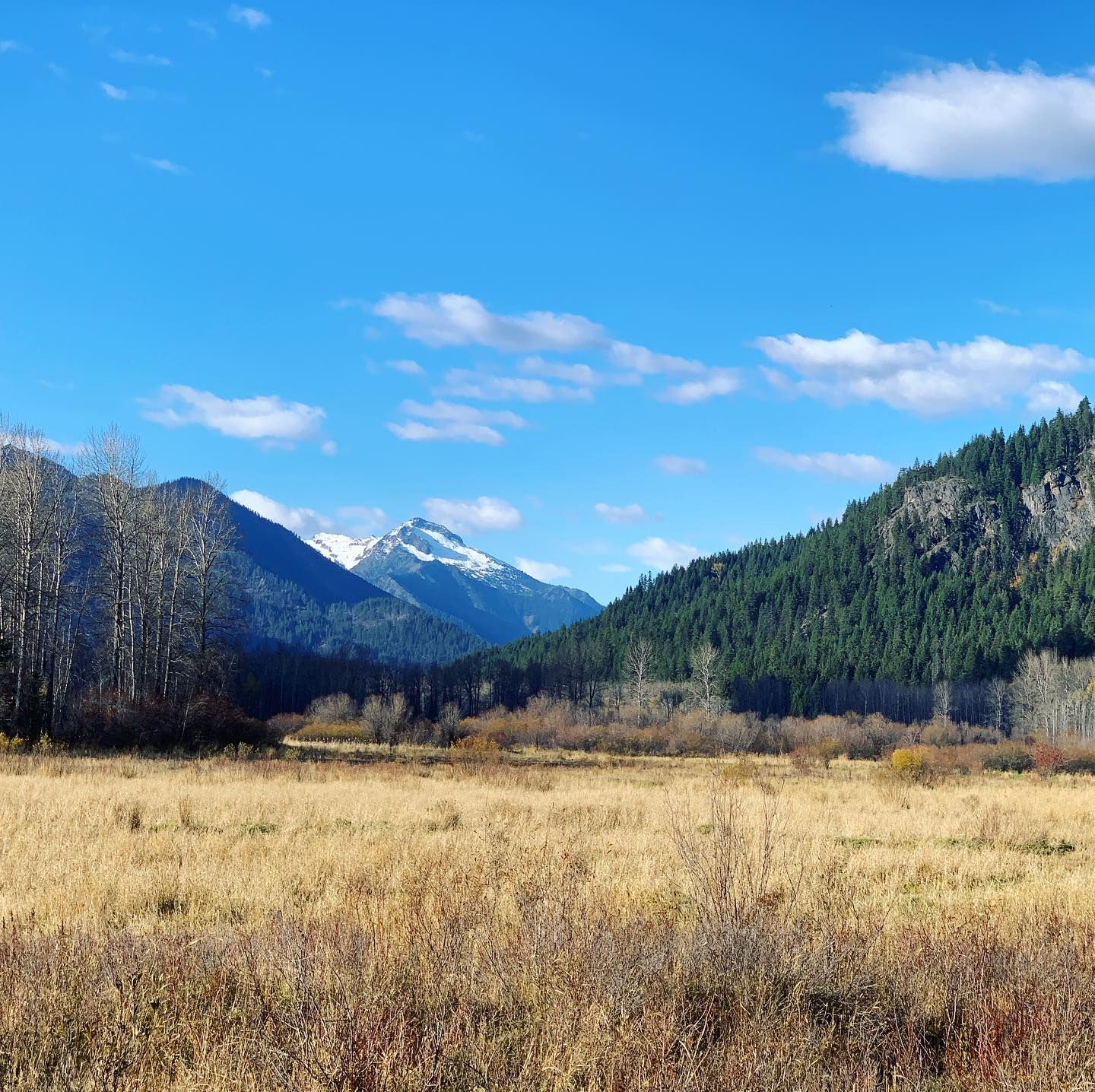 Plain Hardware | ACTIVITIES IN PLAIN