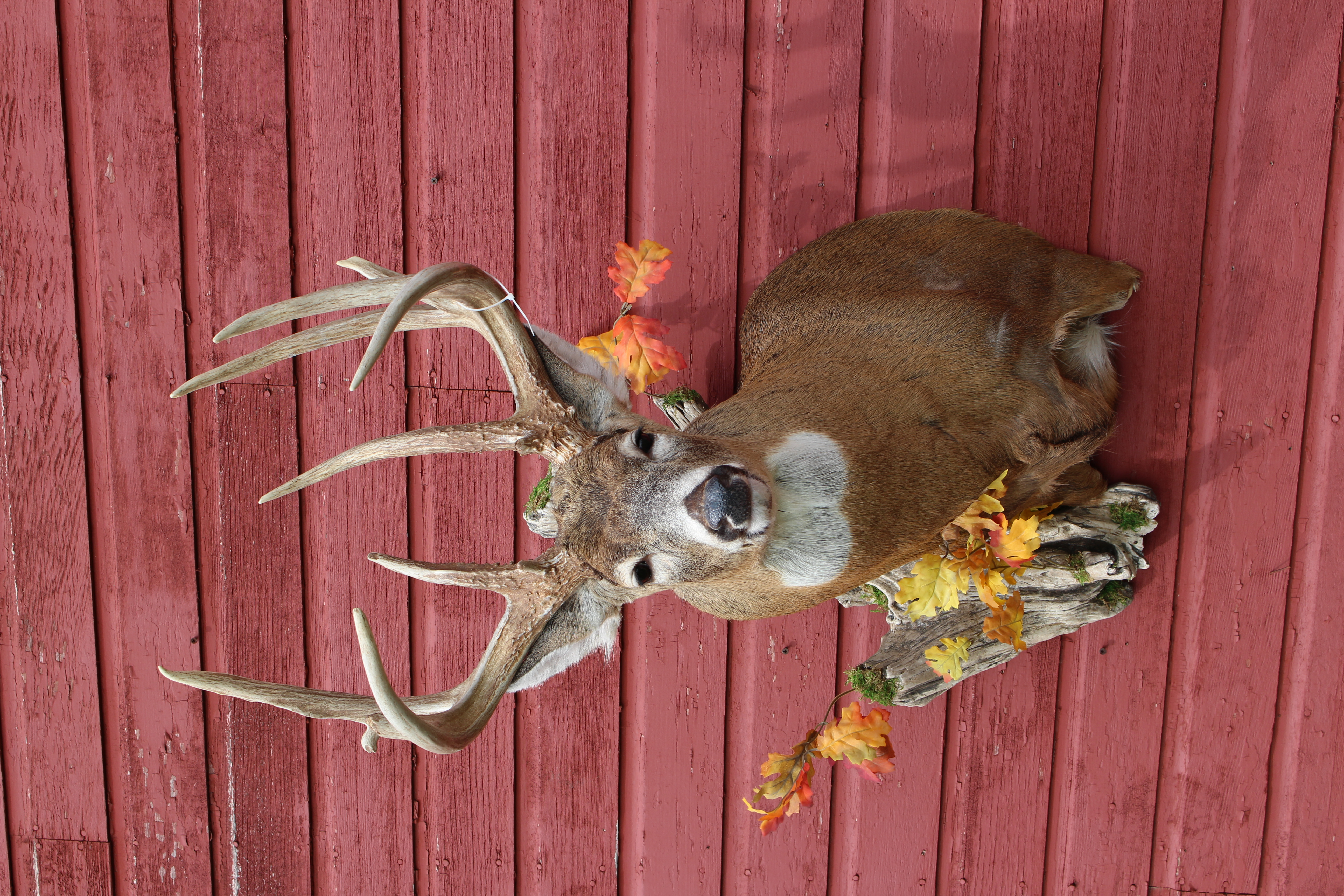 Portfolio | topnotch