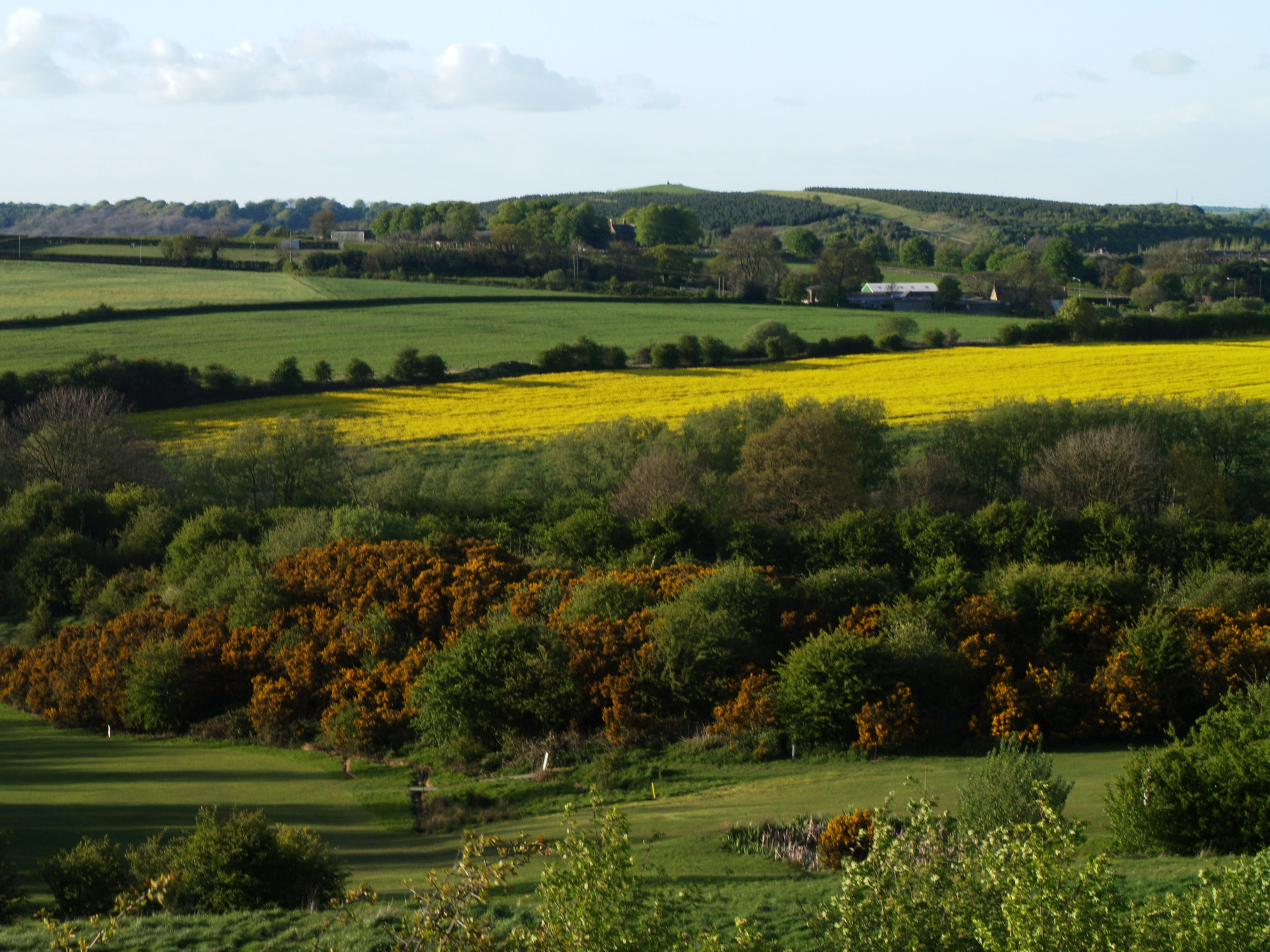 The Course | brierley-forest