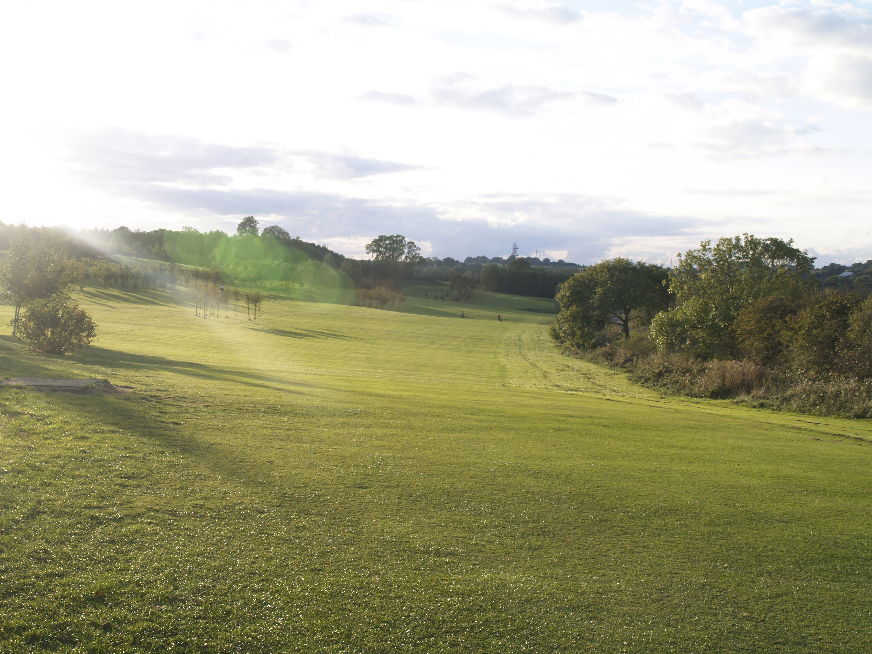 The Course | brierley-forest