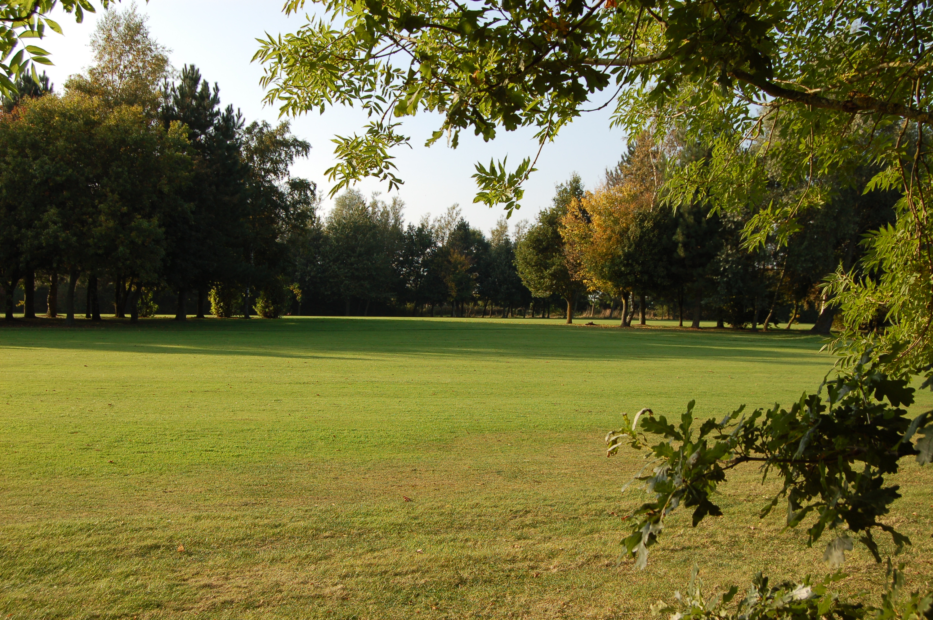 The Course | brierley-forest