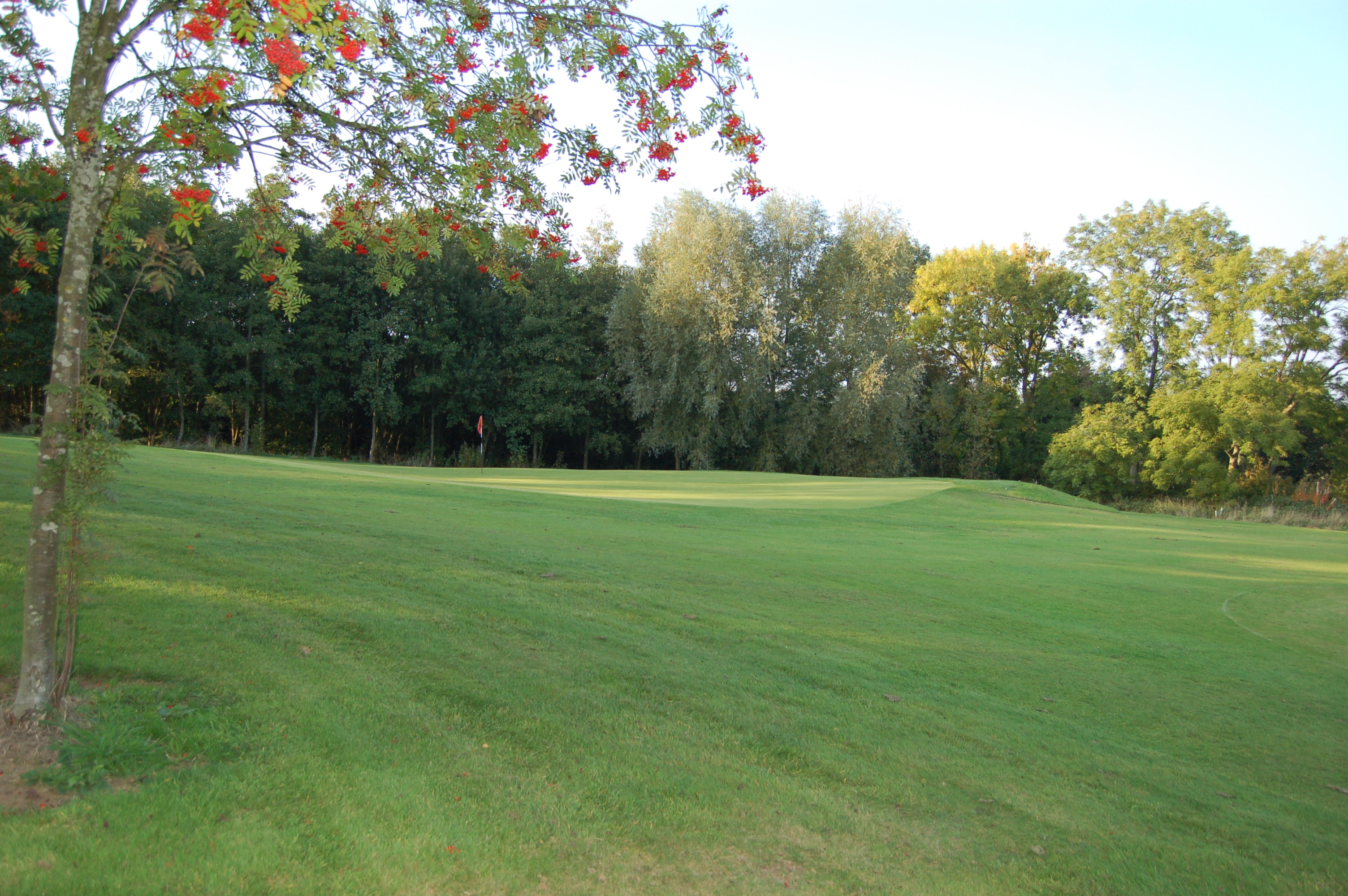 The Course | brierley-forest