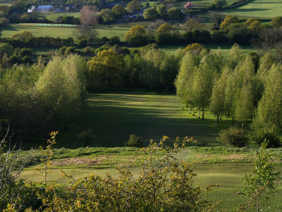 The Course | brierley-forest