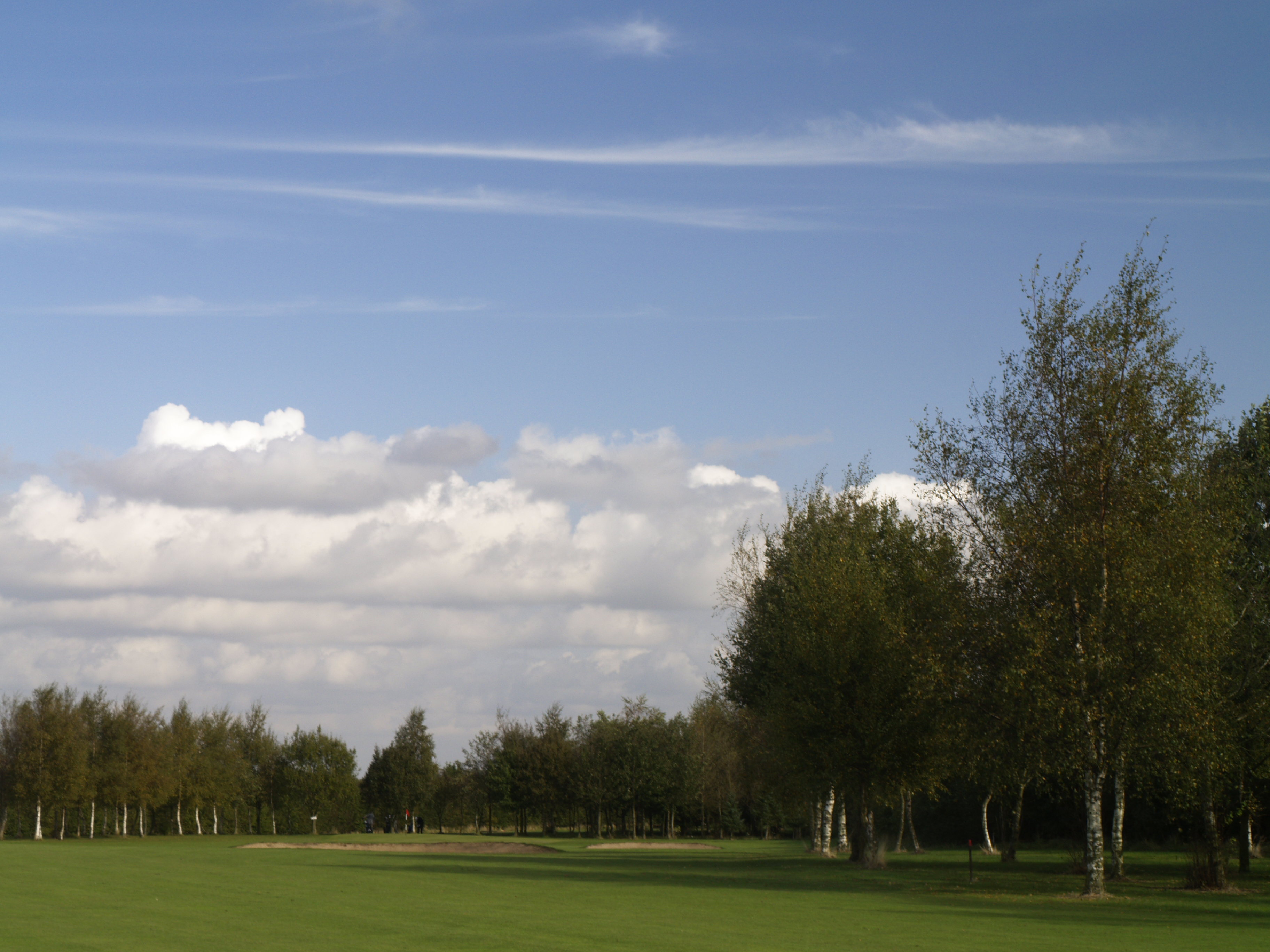 The Course | brierley-forest