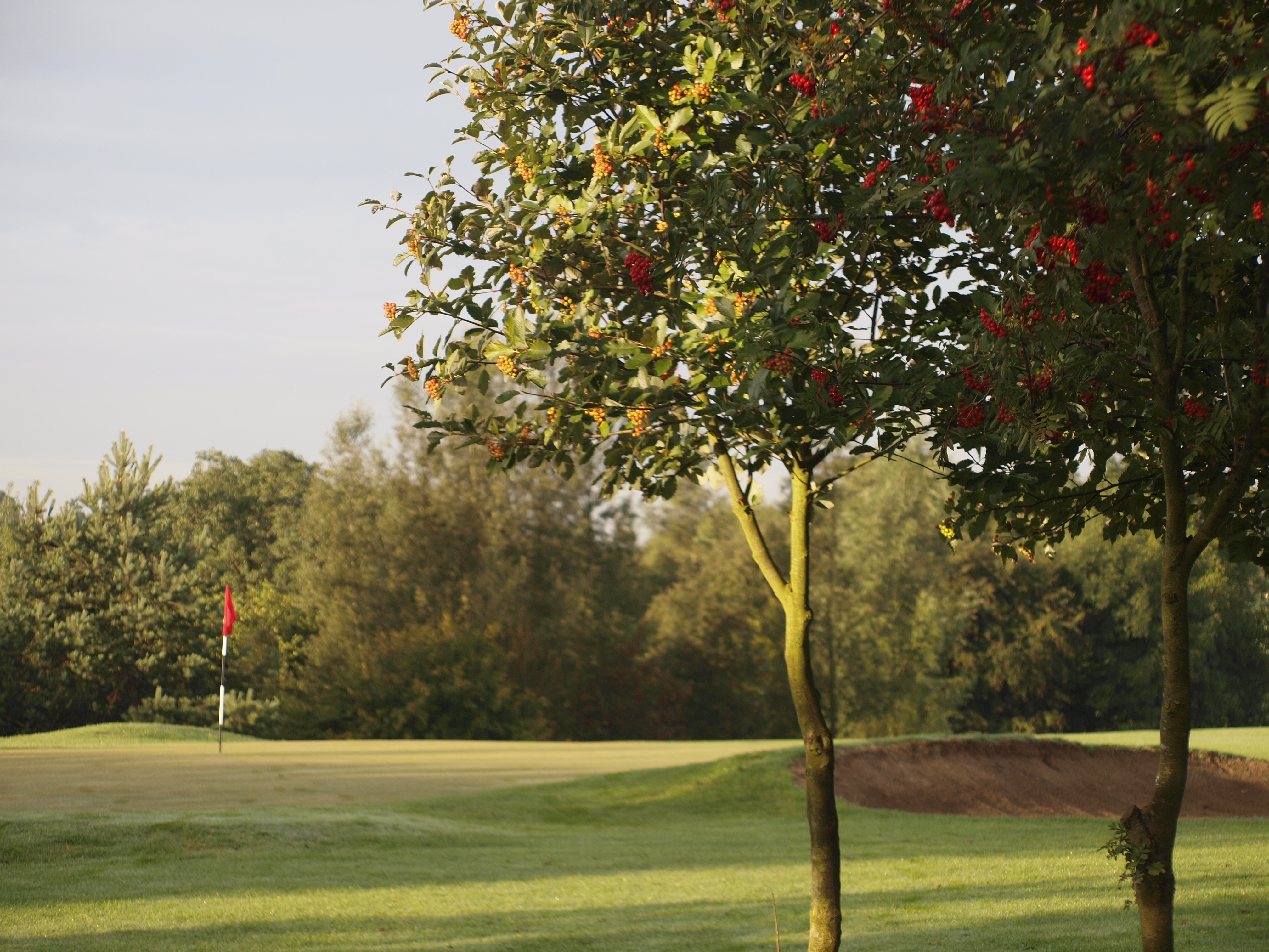 The Course | brierley-forest