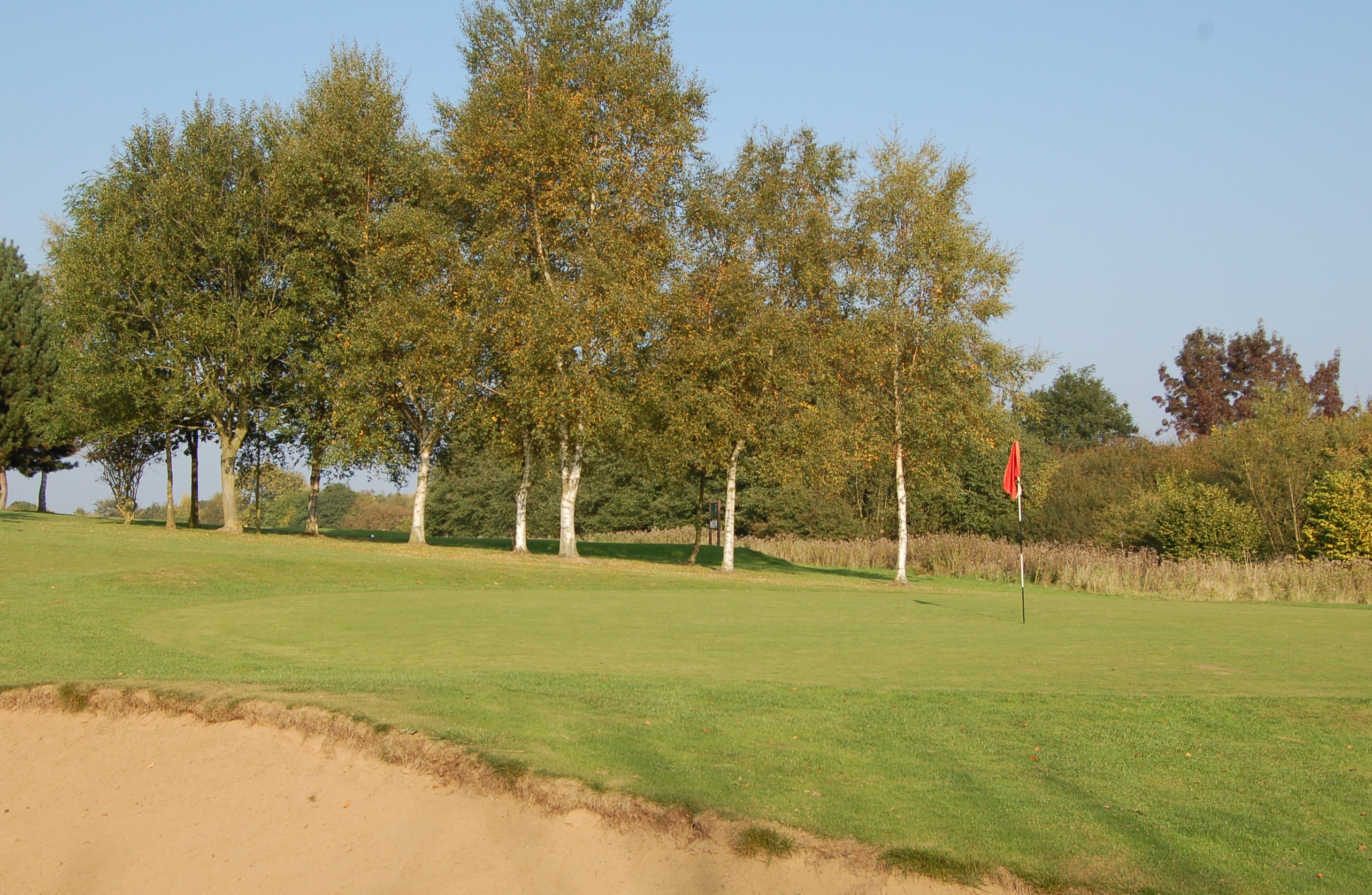 The Course | brierley-forest