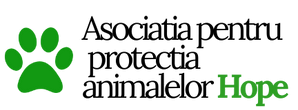 Adoptii caini pisici | Bucuresti | Asociatia protectia animalelor HOPE
