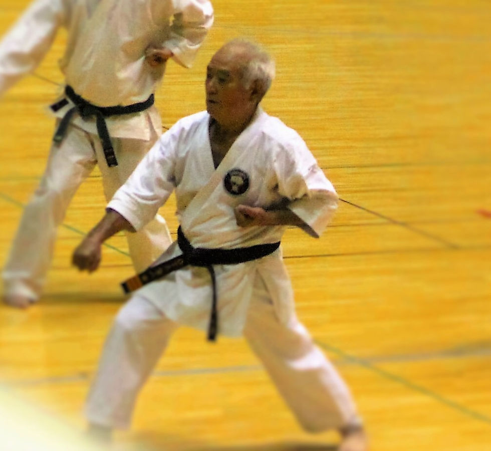 Shorin-ryu Karate | Okinawa Shorin-Ryu Karate | United States