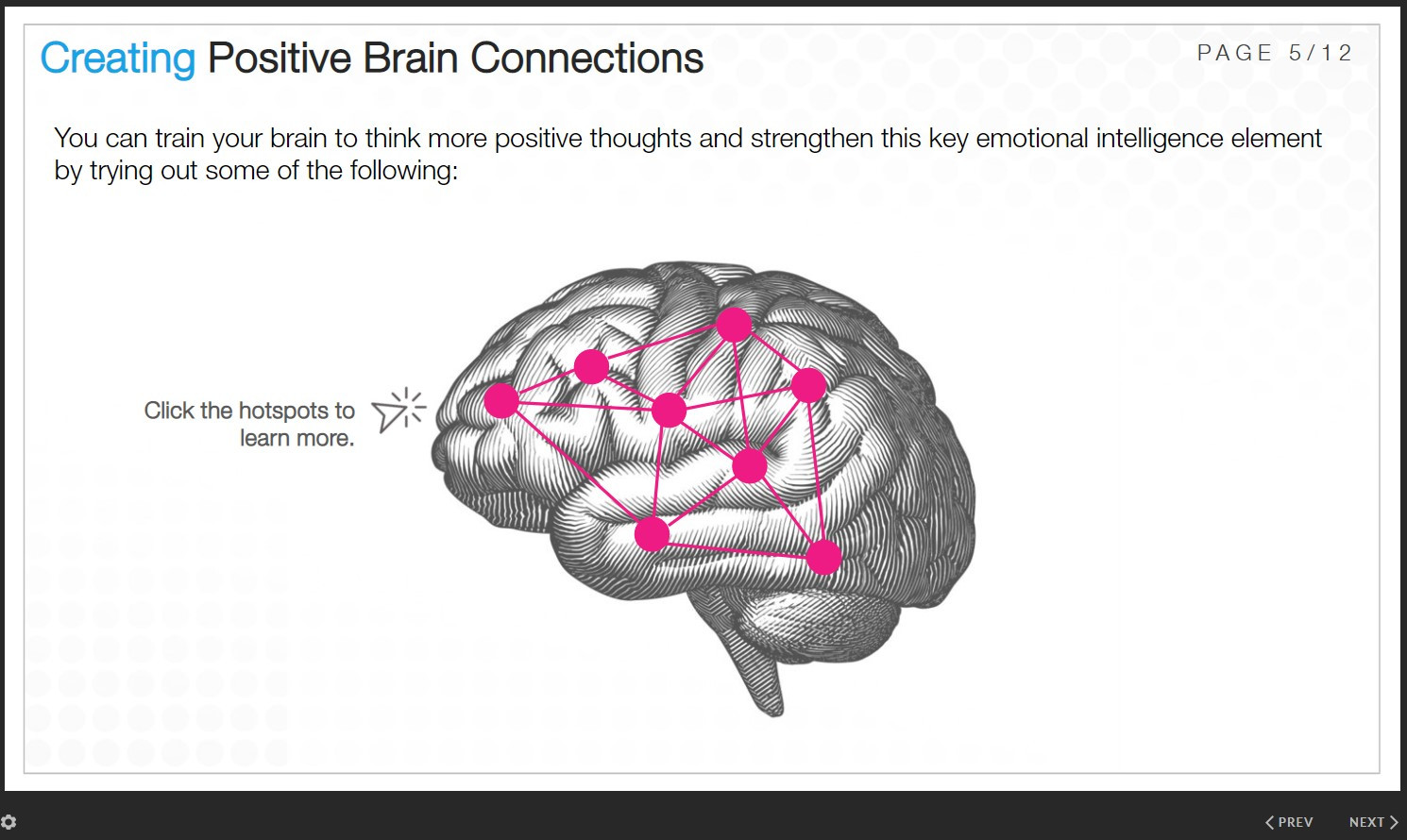 eLearning | Digital Content Creators | Sample Courses
