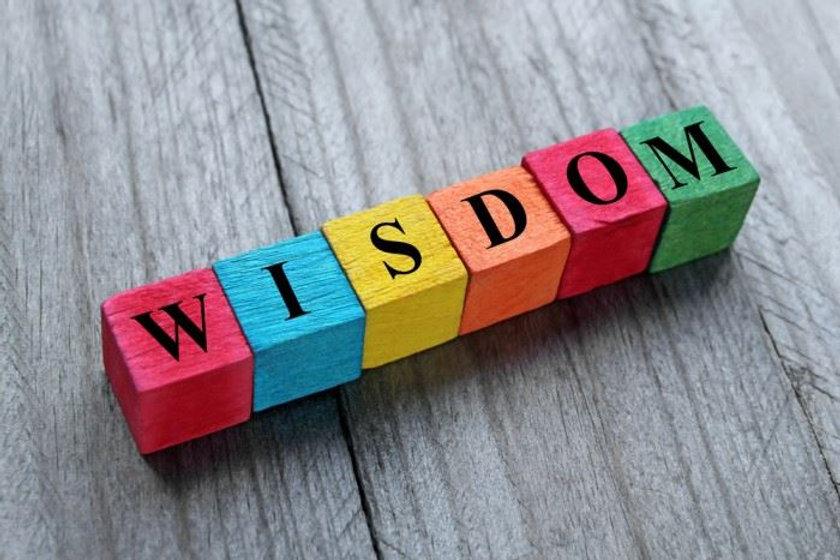 New you - The seven servants of wisdom