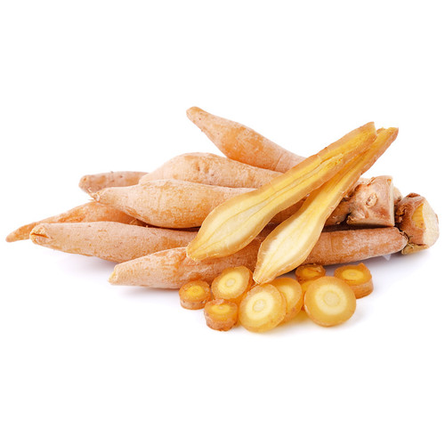 Finger Root | NATURAL LAND