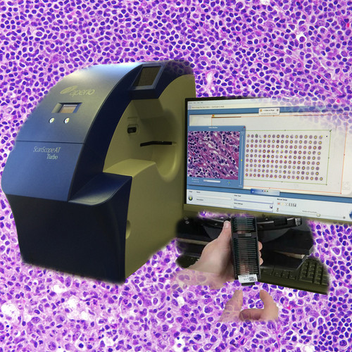 Whole TMA slide scanning | quickarrays