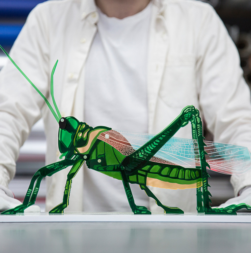 Pierre Brault | Sculptures anamorphiques