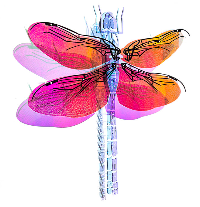 Pierre Brault | Sculptures anamorphiques