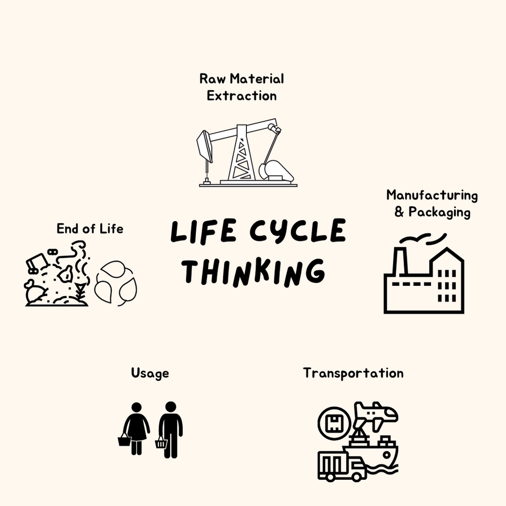 Teaching the Circular Economy in the Primary Classroom