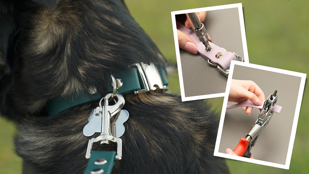 DIY Waterproof Dog Collar Tutorial