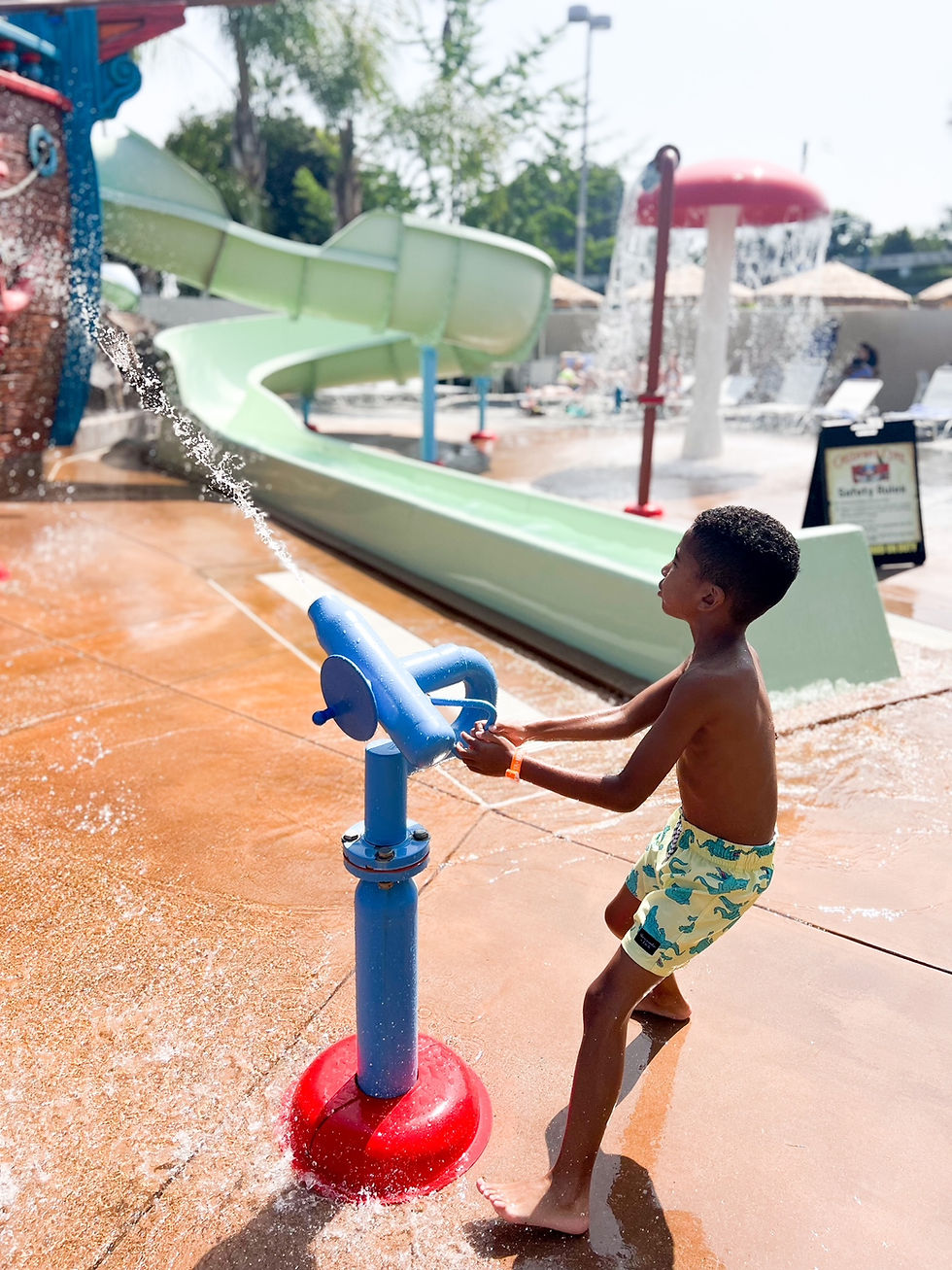 Splash-tastic Adventure: A Weekend at the Howard Johnson Anaheim Hotel ...