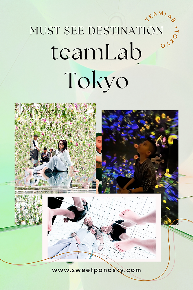 teamLab, Tokyo - A Must See Destination