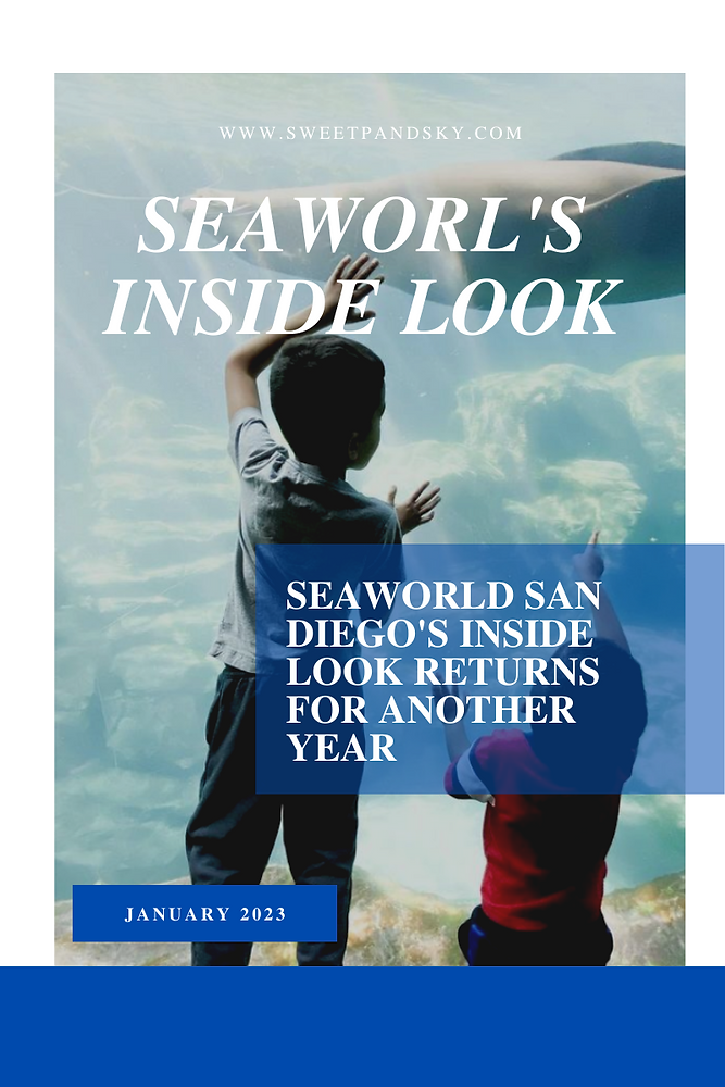 SeaWorld San Diego's Inside Look Returns for Another Year