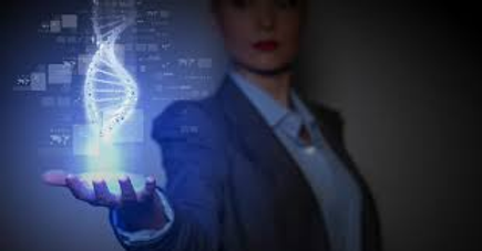 Embedding CSR in Corporate DNA: Long-Term Strategies for Boards