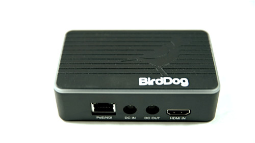 BirdDog Flex 4K HDMI In to Full NDI Encoder | avstudioservices