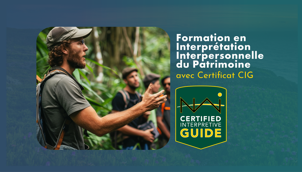 France - Formation en Interprétation Interpersonnelle du Patrimoine ...