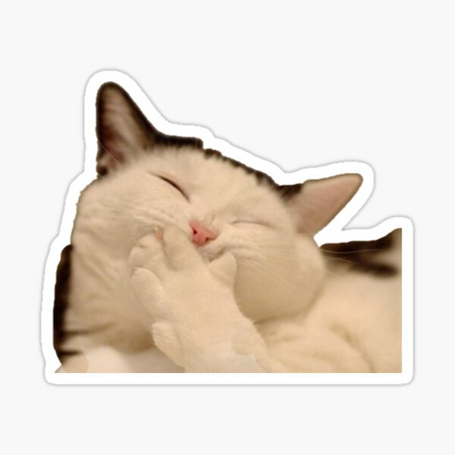 Sticker Laughing Cat Meme | Efímero Store