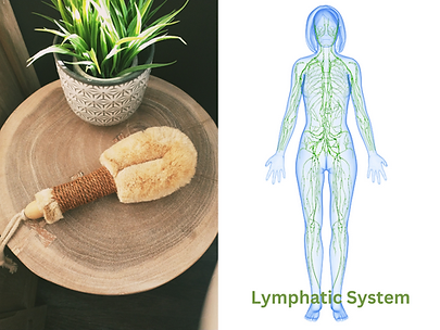 Discover the Magic of Body Scrub Services: Transform Your Skin and Your ...