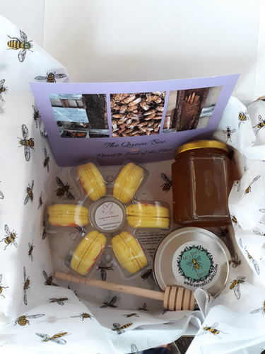 Queen Bee Box | Steele Apiaries