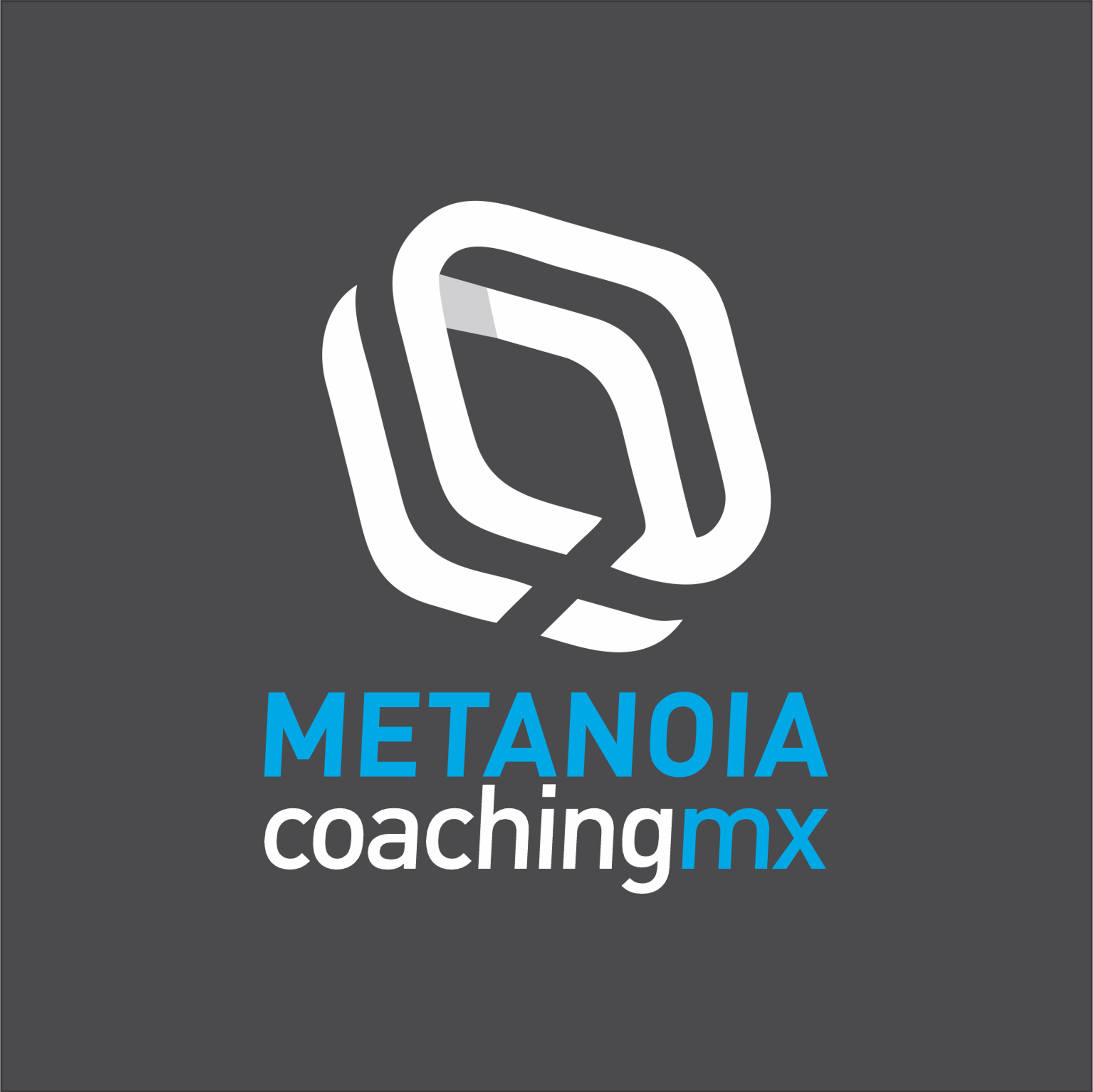 INICIO | Metanoia Coaching MX