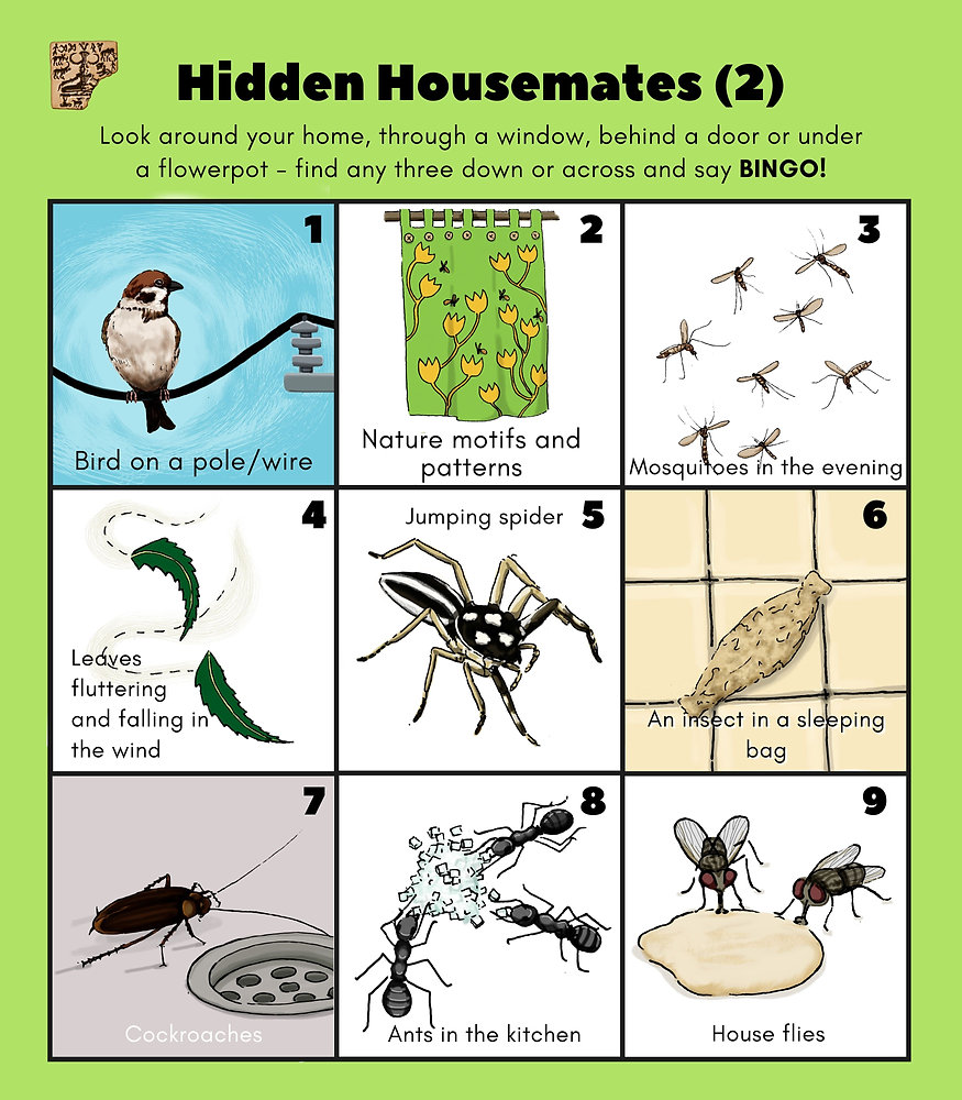 Hidden Housemates Activity - A Review