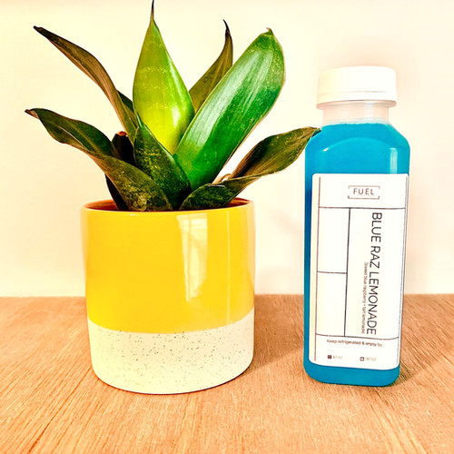 Blue Raz | Fuel Coffee Bar