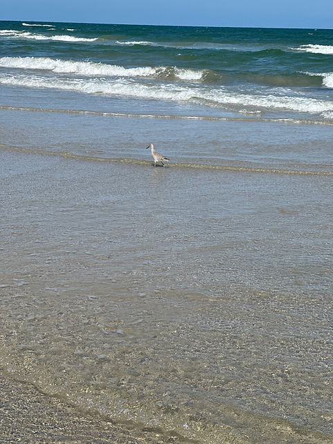 Bike Tour Map | bigshellbikes