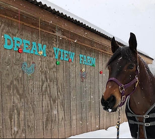 Home | Dream View Farm