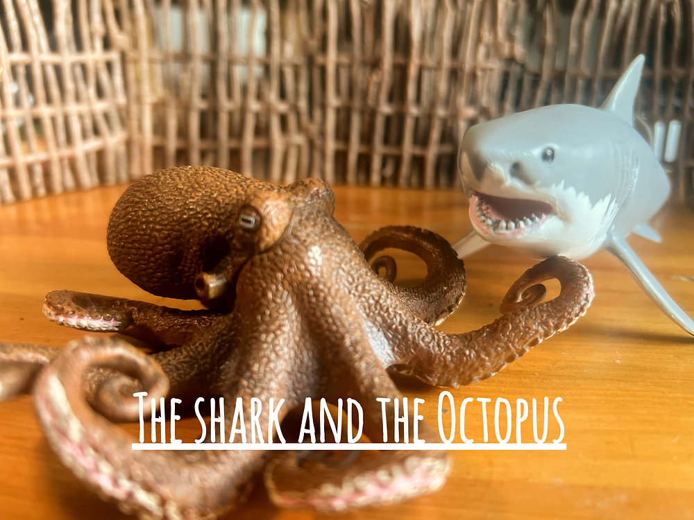 bear shark octopus