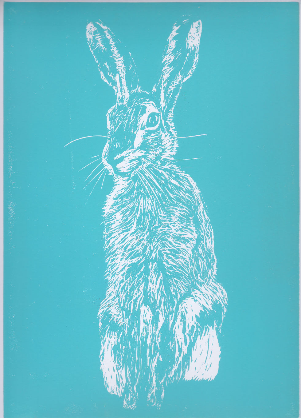 Lino Printing In Wales | Prints By Hannah